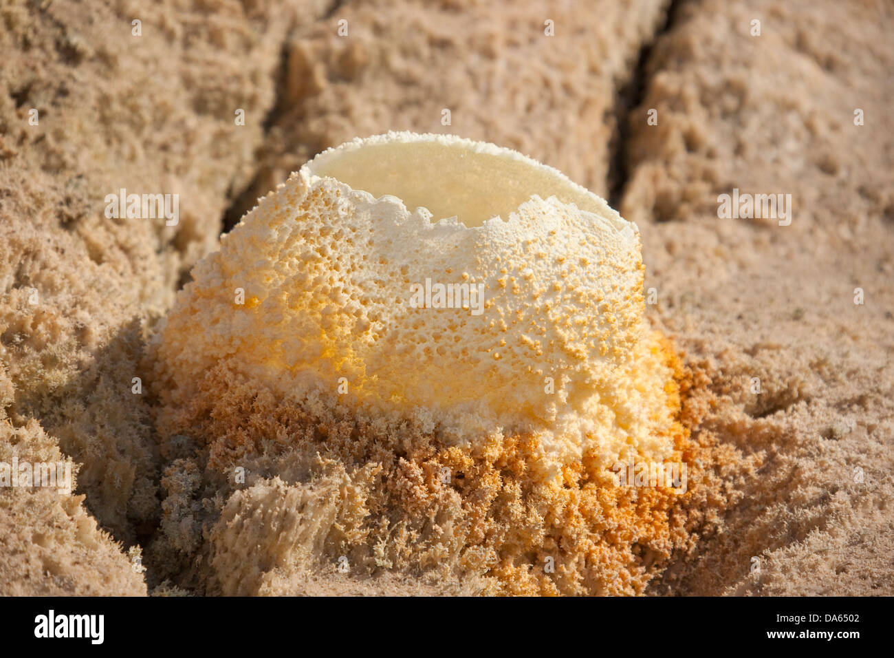 Where Is Sulfur Found In Nature