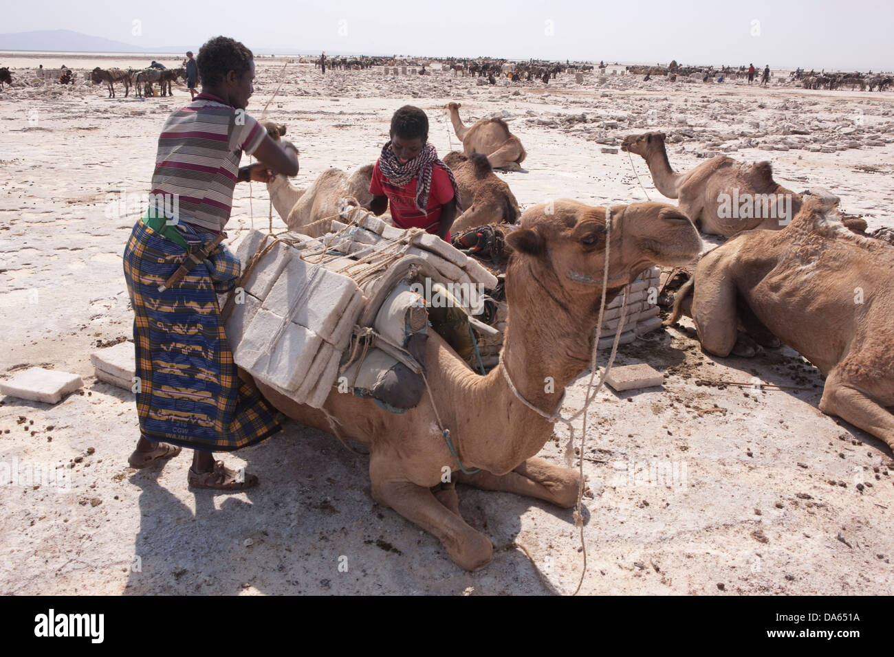 Salt Mines In Africa