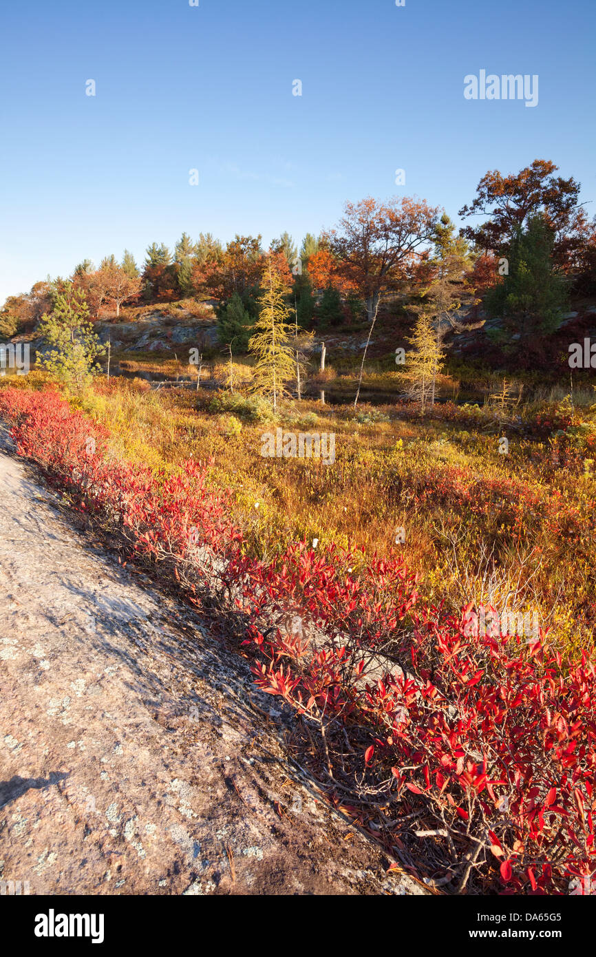 Morning light overlooking beatiful fall colours, Muskoka, Ontario ...