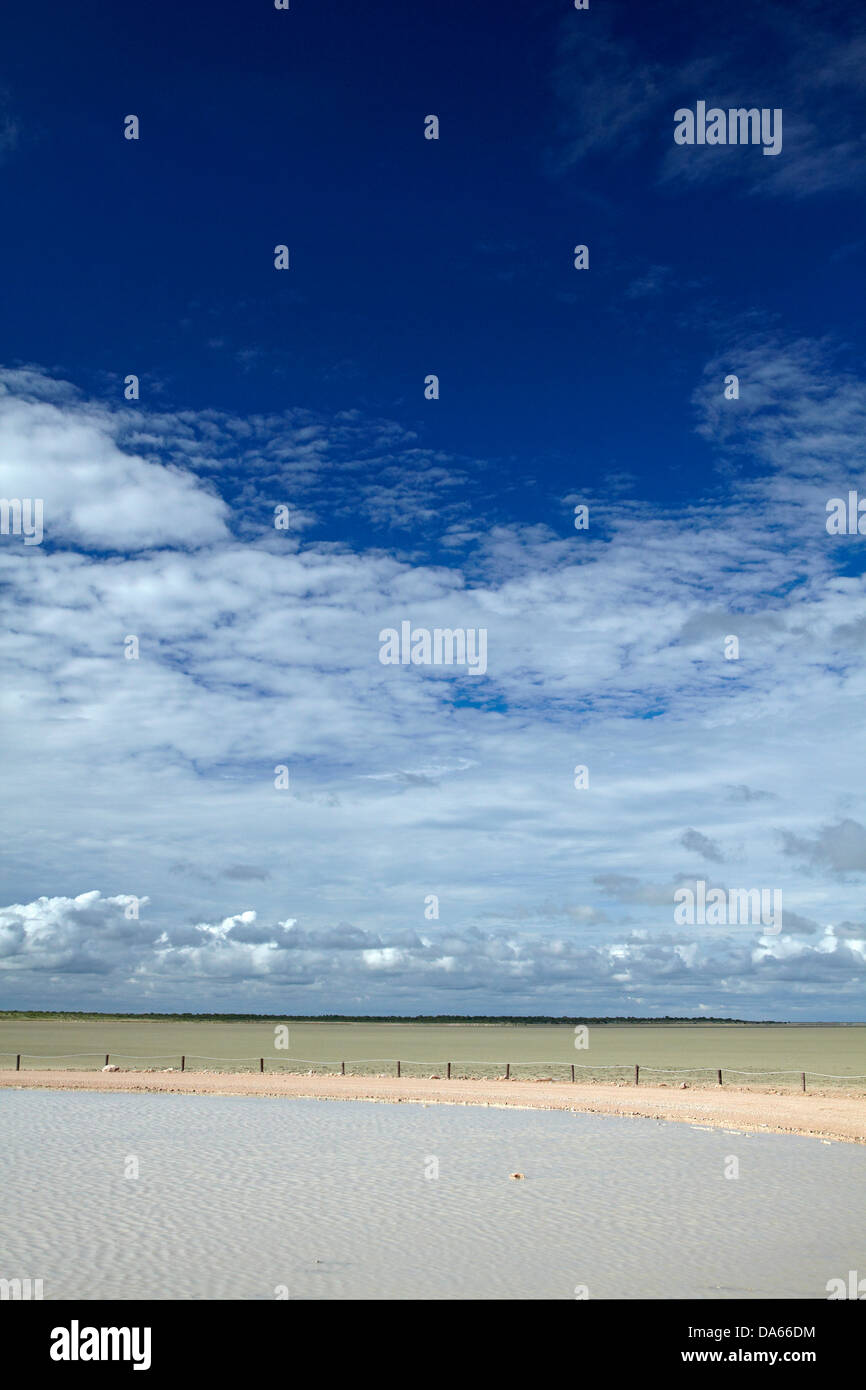 Etosha pan national park hi-res stock photography and images - Alamy