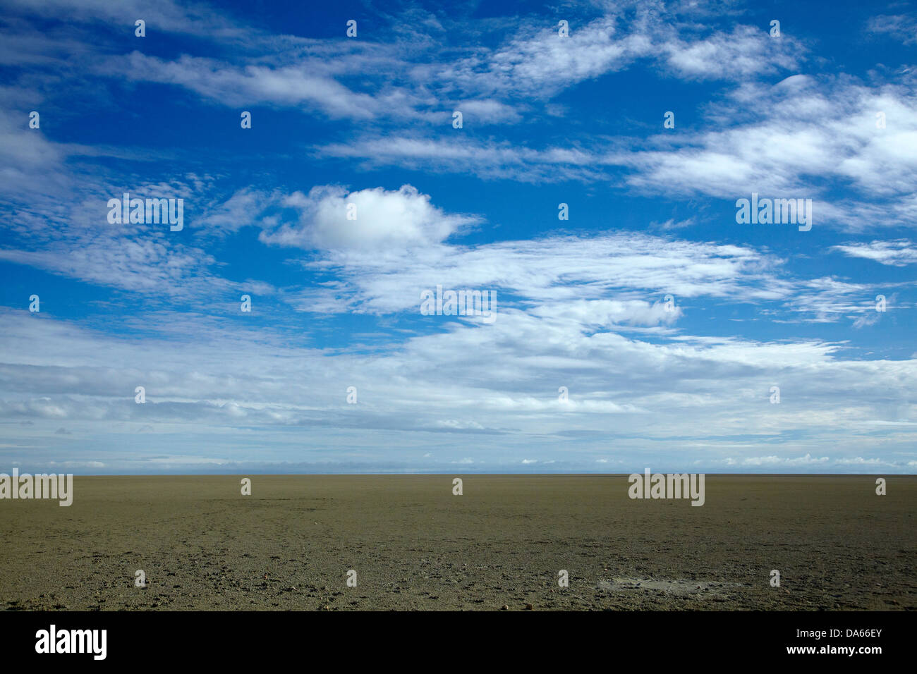 Etosha pan national park hi-res stock photography and images - Alamy