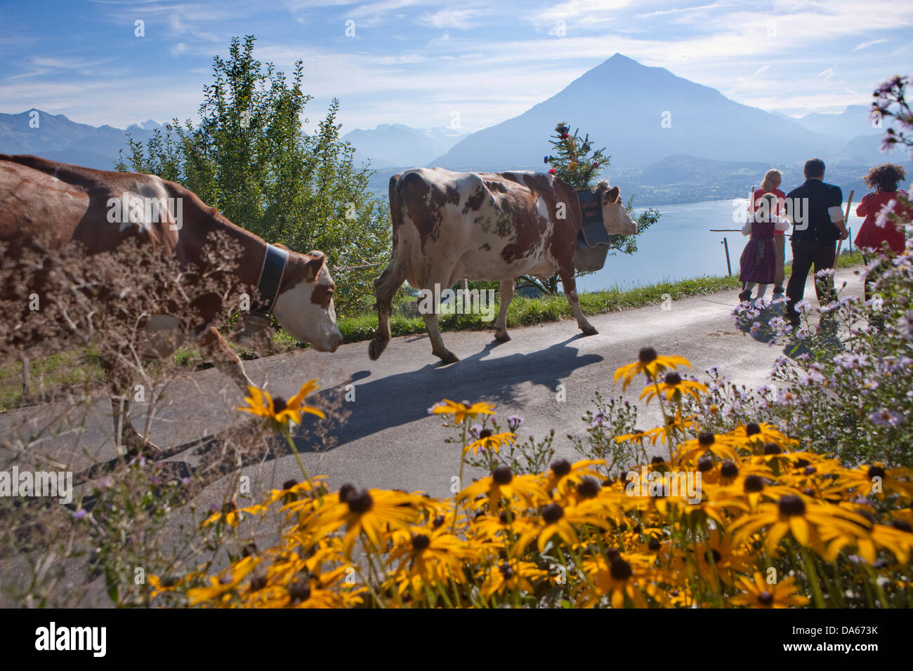 Alpine costume hi-res stock photography and images - Alamy