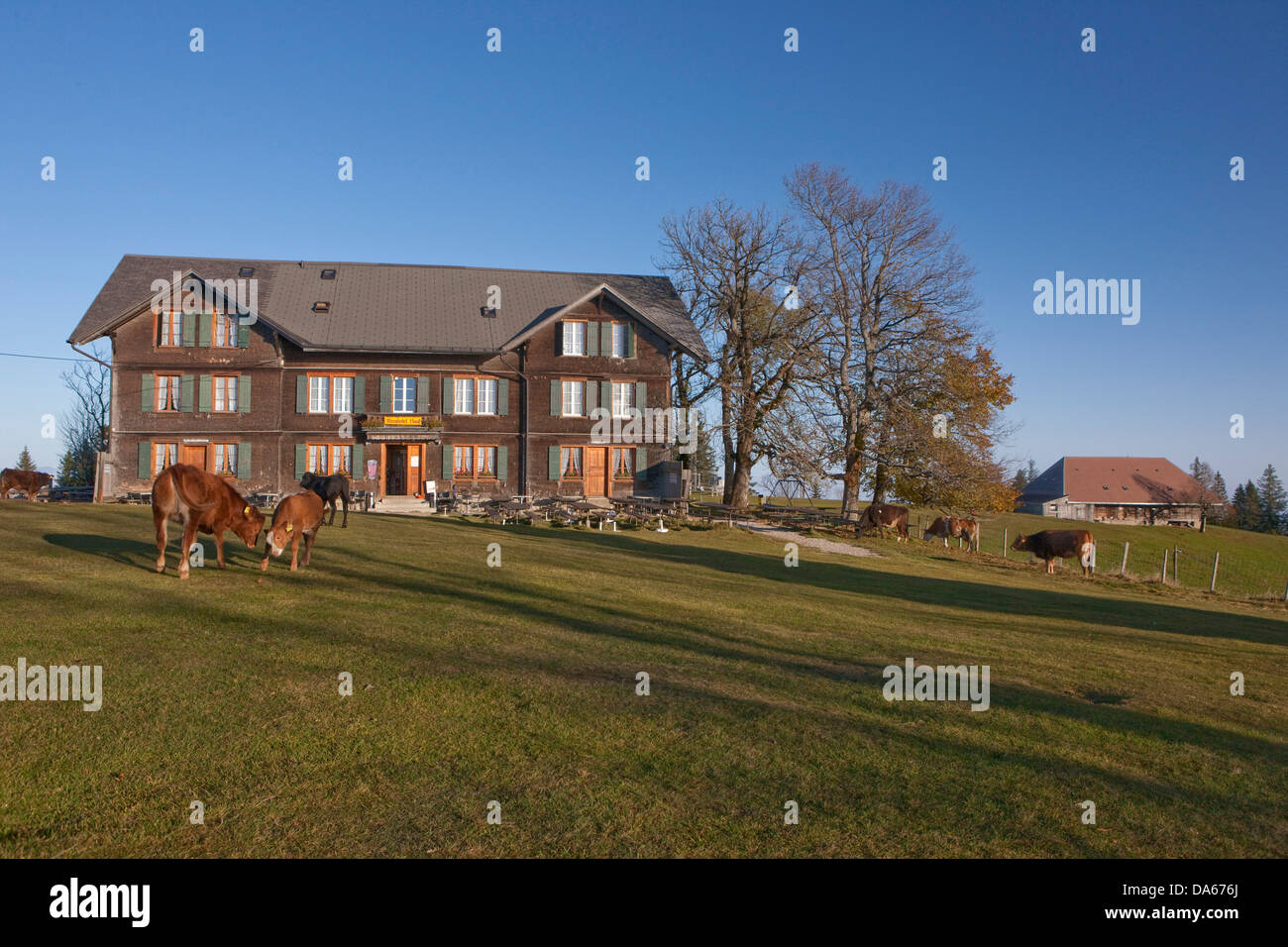 Mountain hotel, Napf, autumn, canton, Bern, LU, Lucerne, Luzern ...
