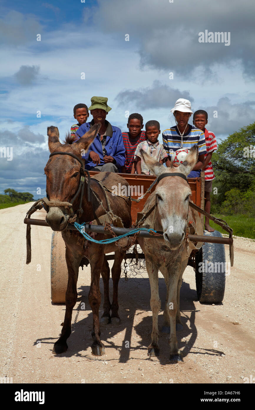 Donkey carts africa hi-res stock photography and images - Alamy