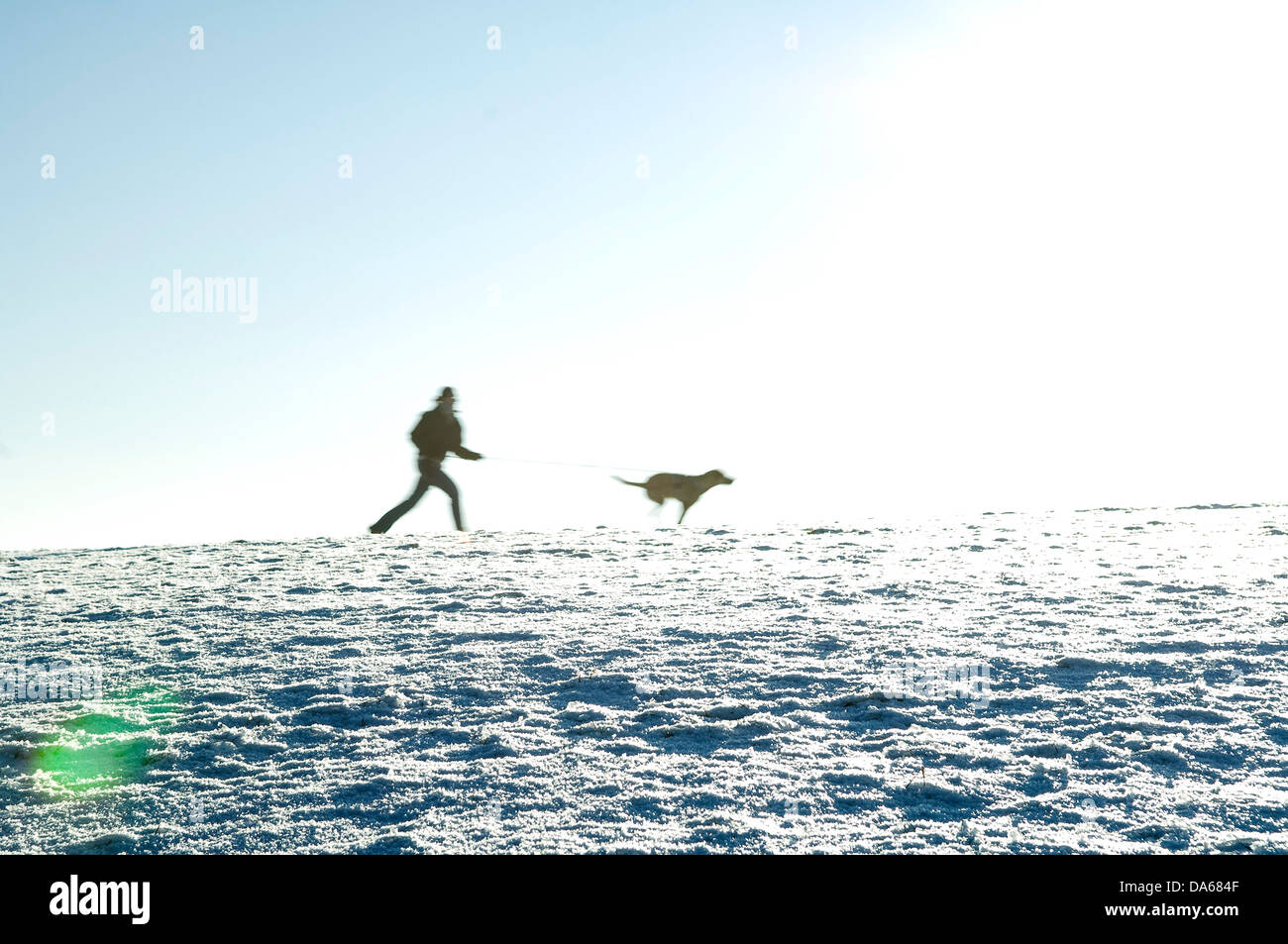 Man jogging dog labrador hi-res stock photography and images - Alamy