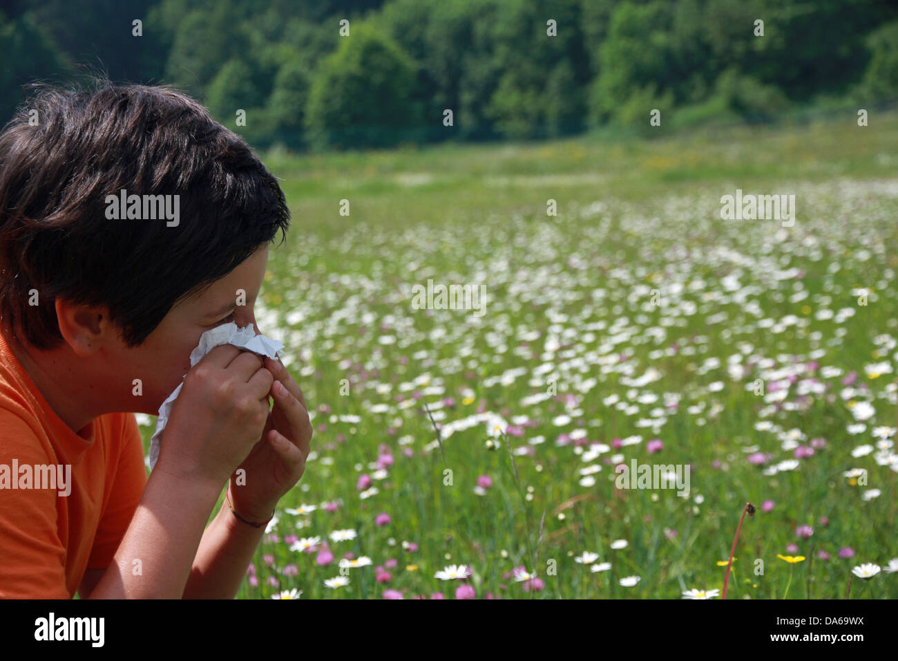 child with an allergy to pollen while you blow your nose with a white ...