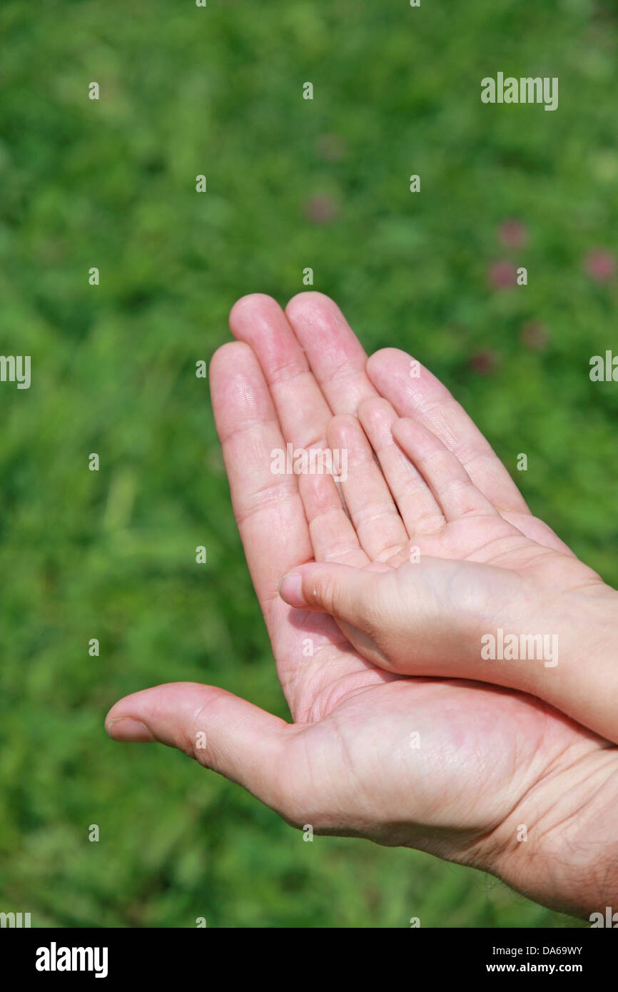 hand of a little girl in the hand of the father Stock Photo - Alamy