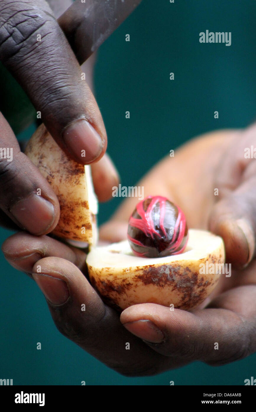 Pod natural hi-res stock photography and images - Alamy