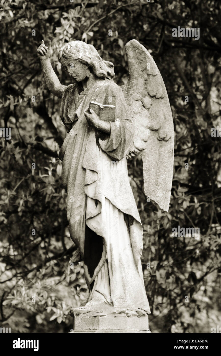 Angel with book Stock Photo - Alamy