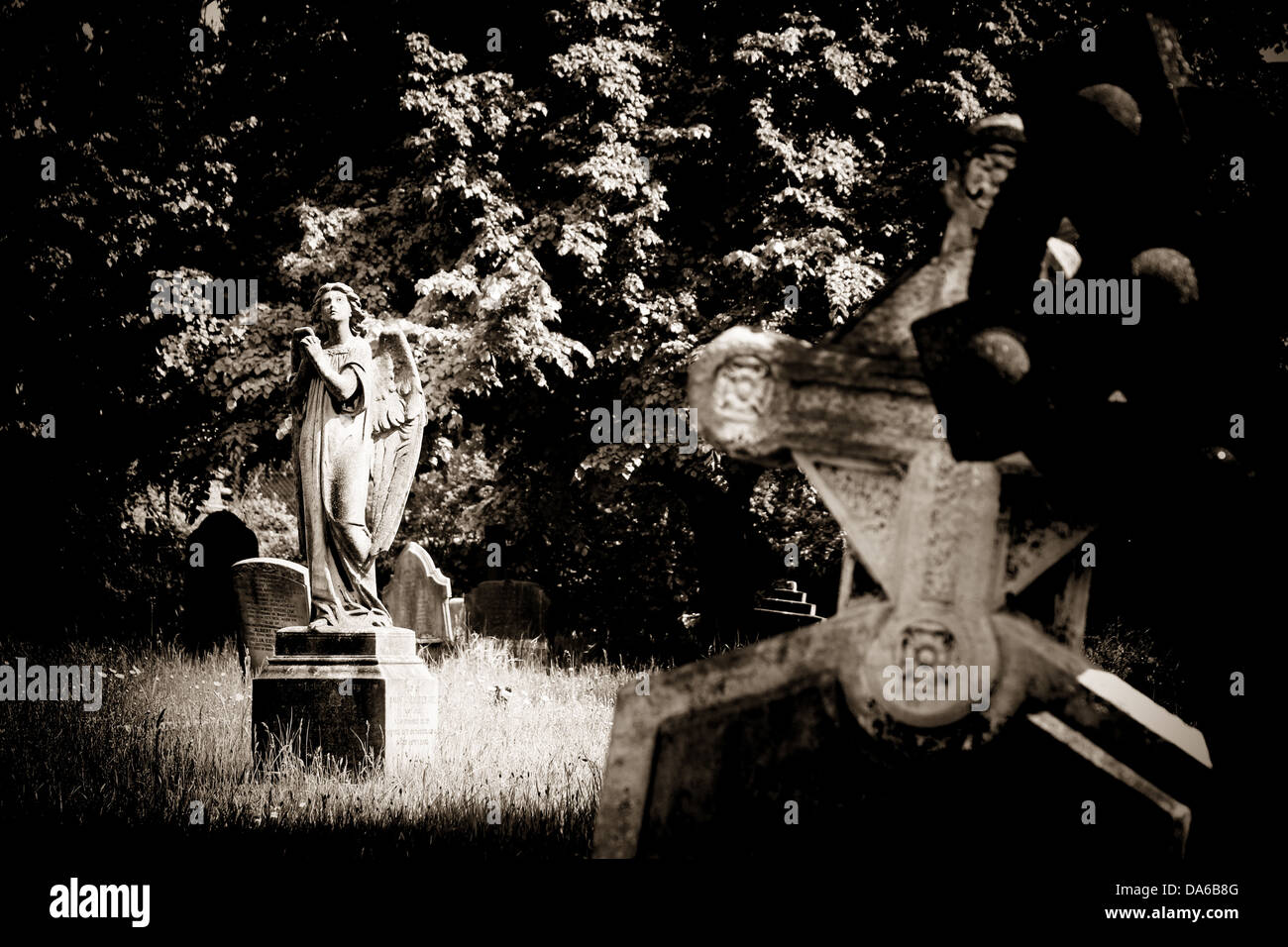 Angel in graveyard Stock Photo - Alamy