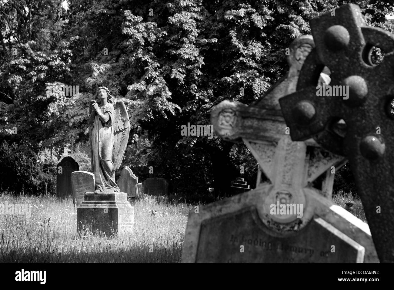 Angel in graveyard Stock Photo - Alamy