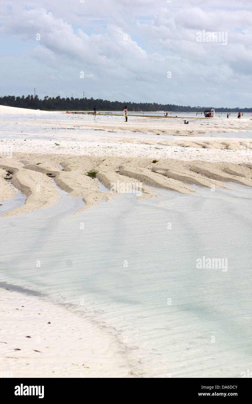 A perspective view of a white sandy beach paradise in Zanzibar with ...