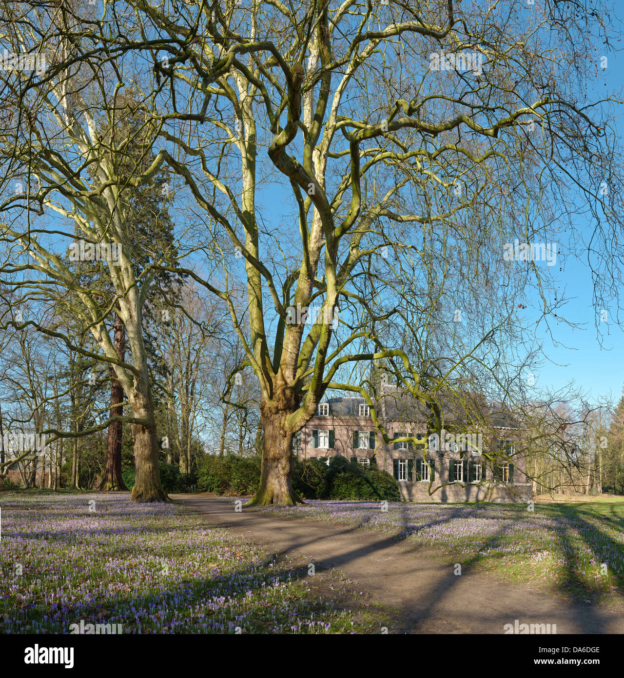 Noord-Brabant, Netherlands, Europe, Geldrop, castle, flowers, trees ...