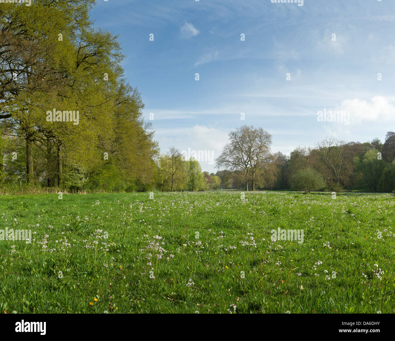 Limburg, Netherlands, Europe, Elsloo, castle estate, landscape, field ...