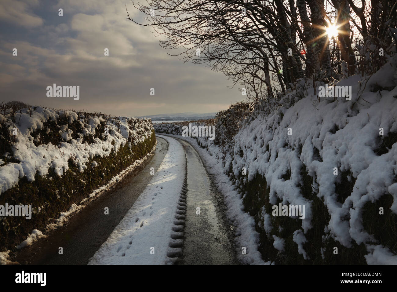 Sun on country lane hi-res stock photography and images - Alamy
