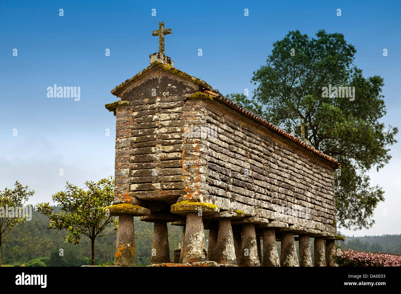 Dumbria hi-res stock photography and images - Alamy