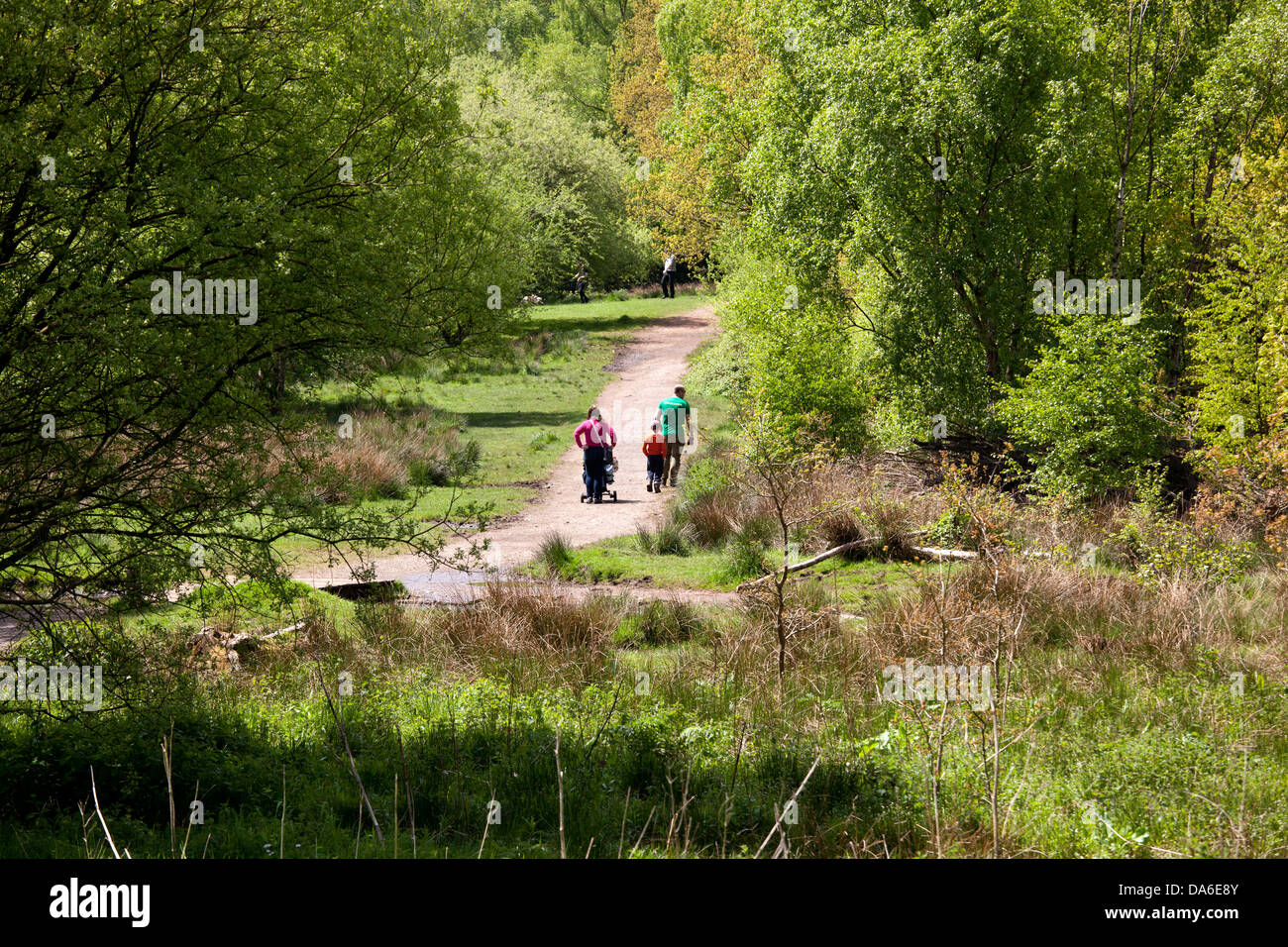 Visitors to Sutton Park enjoying the greenery of the park Stock Photo ...
