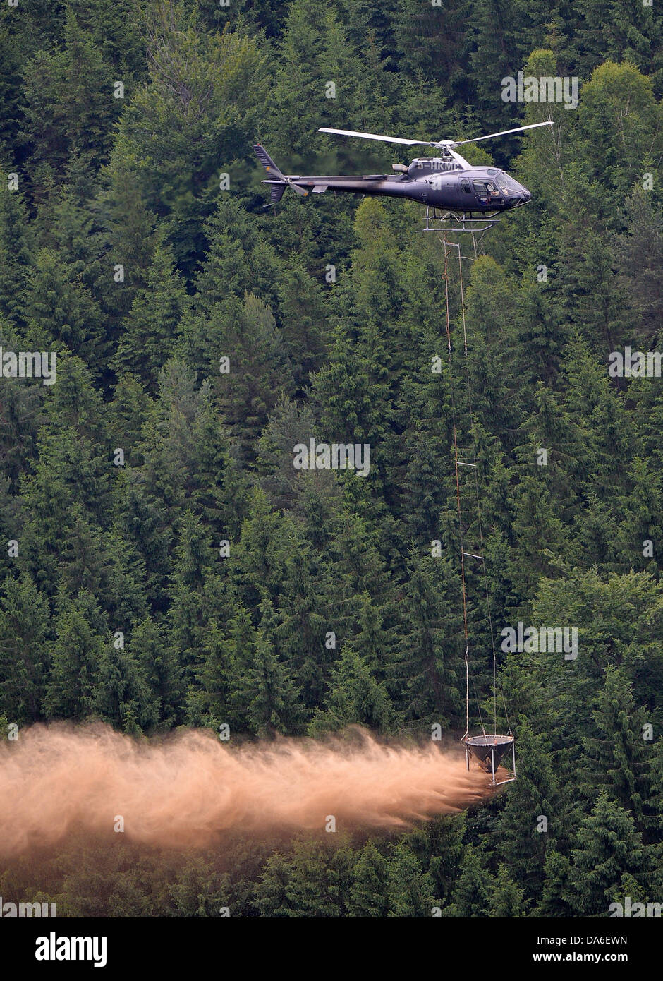 A Eurocopter AS 350 B3 helicopter delivers lime to a forest near ...