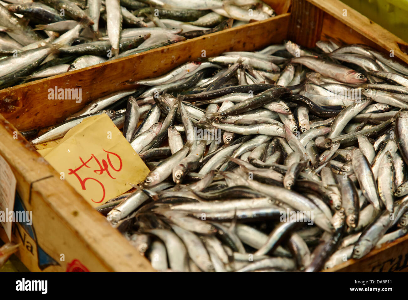 Sardines box hi-res stock photography and images - Alamy