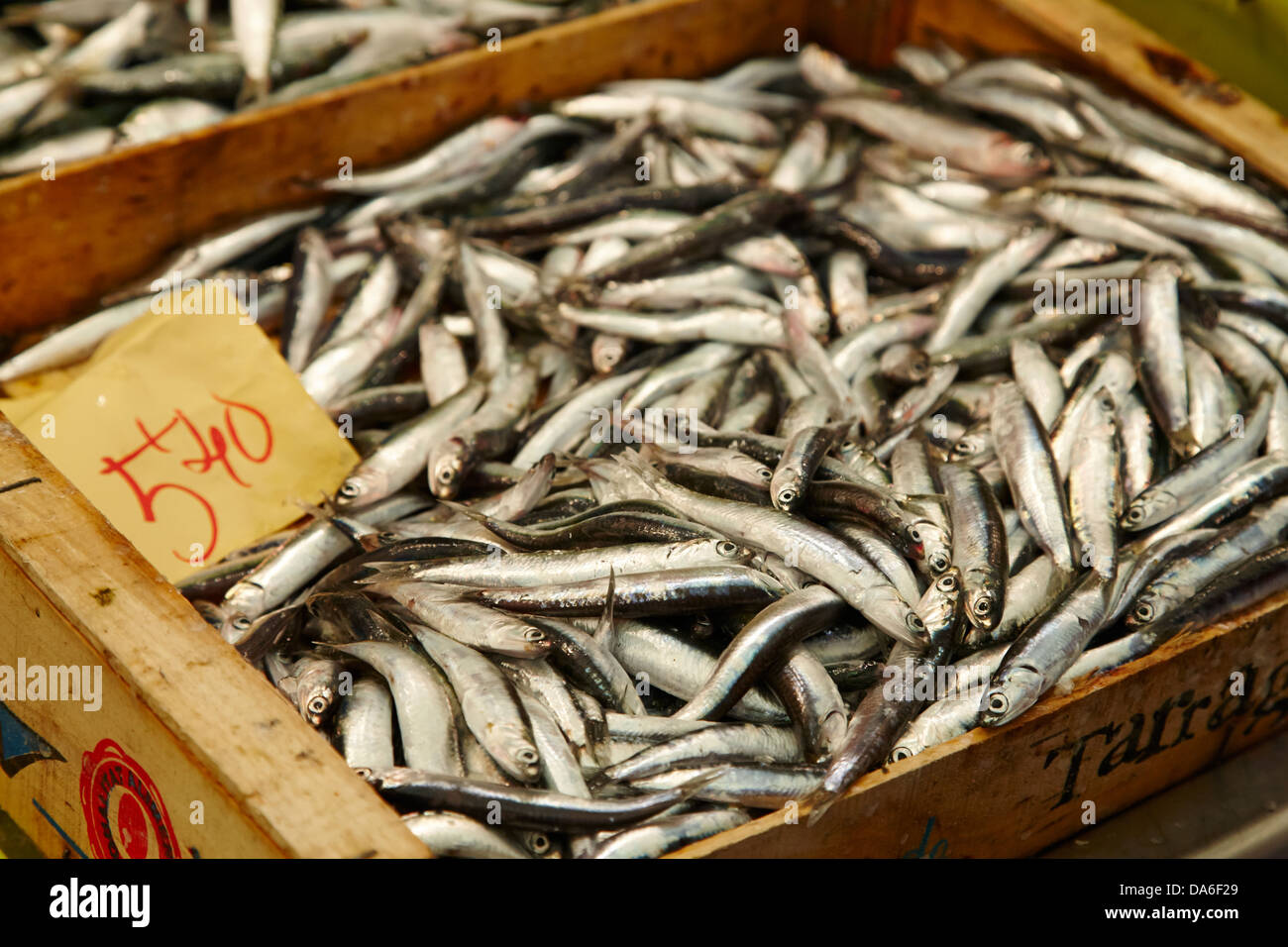 fresh seafood at a local market in tarragona catalonia spain Stock ...
