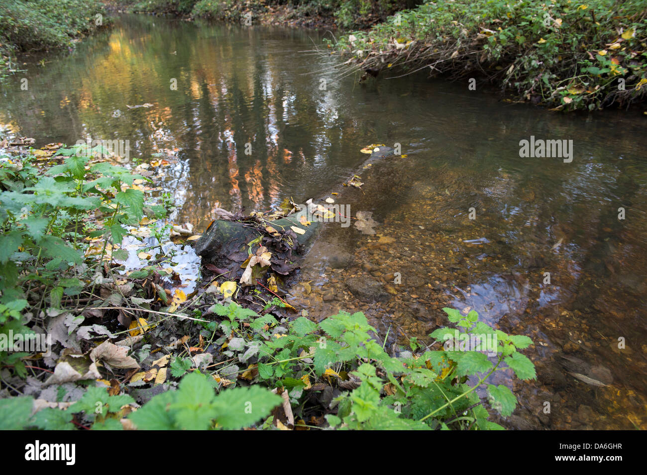Fish Pass Bypass Channel Structure with Woody Debris and Gravel at ...
