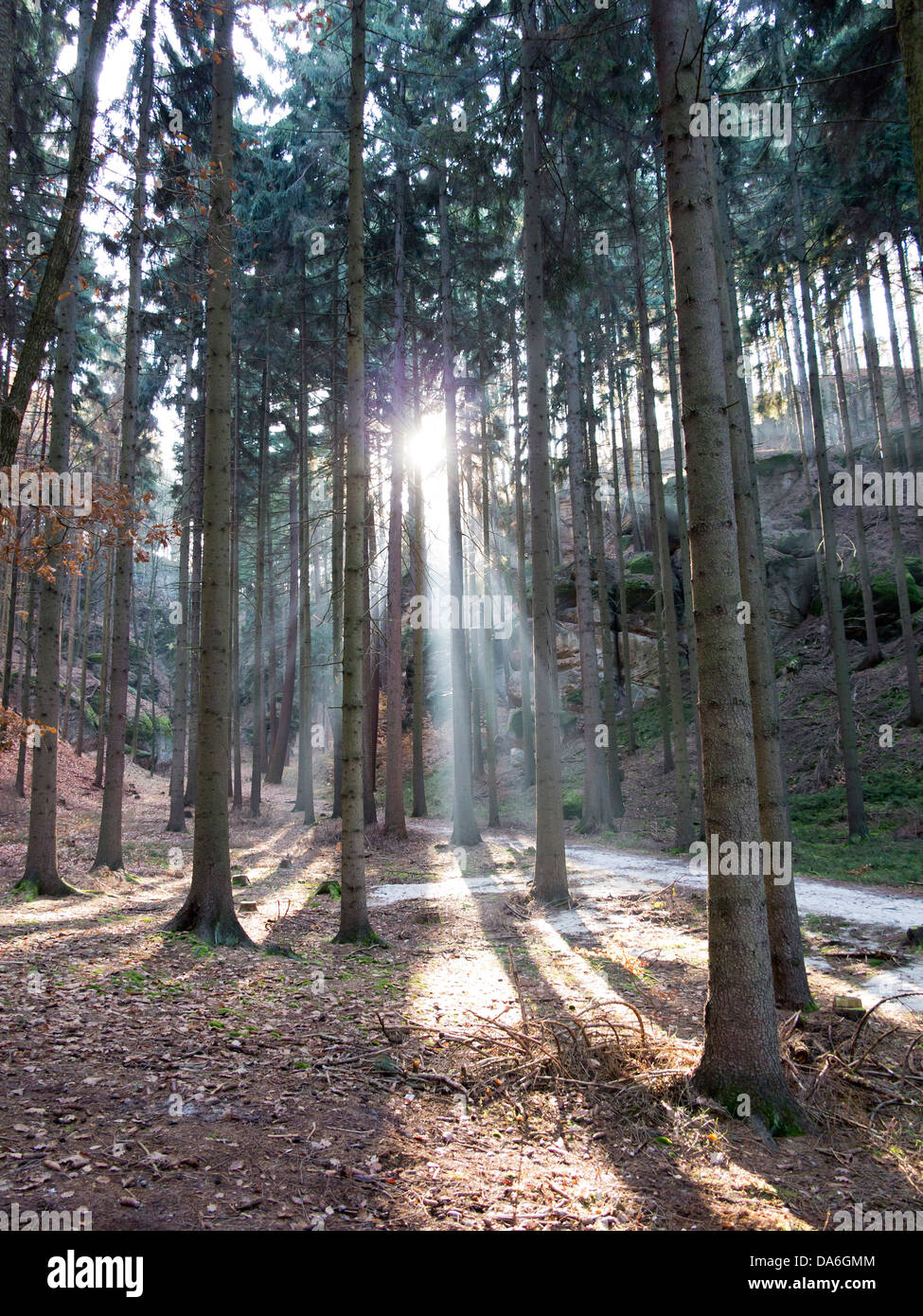 Bohemian tourism hi-res stock photography and images - Alamy