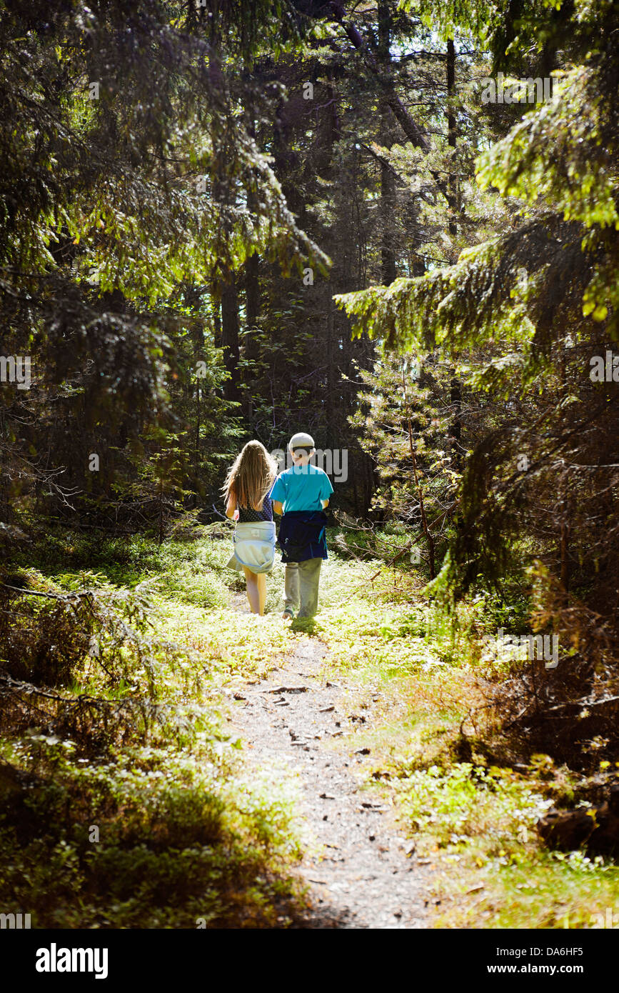 Children (8-9) walking on path in forest Stock Photo - Alamy