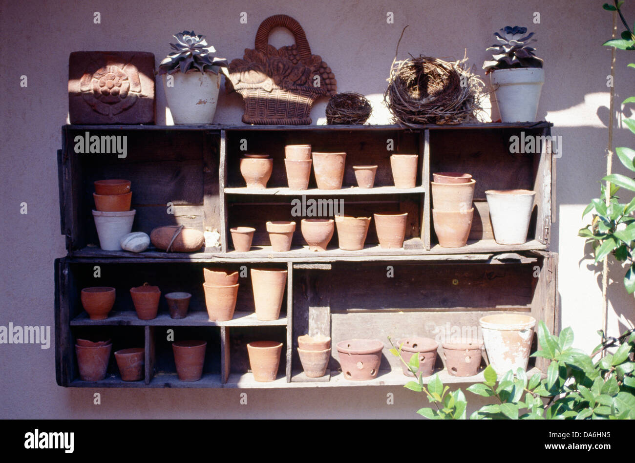 Collection of old terracotta flower pots displayed in rustic wooden ...
