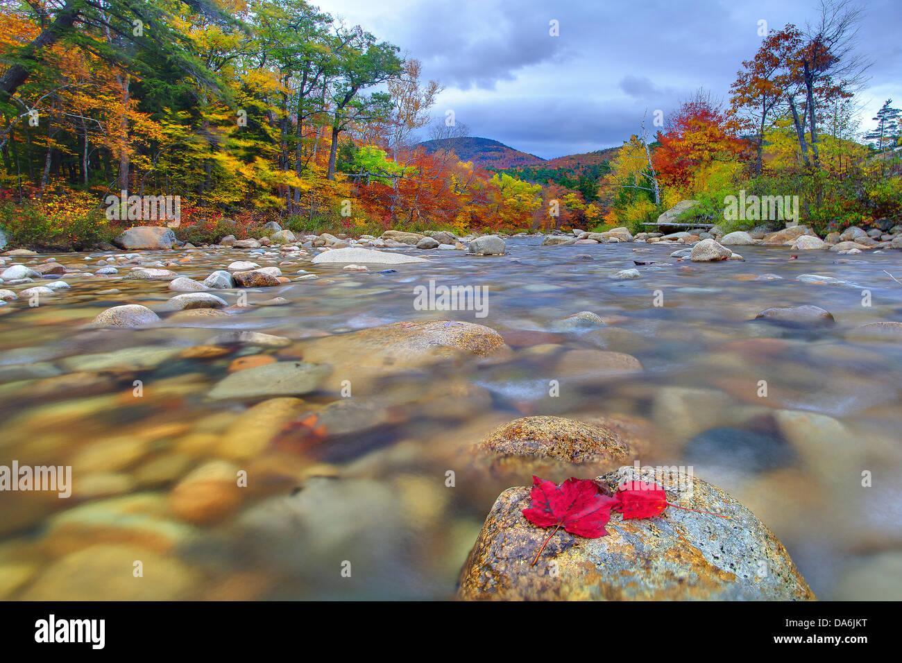 USA, United States, America, New Hampshire, Autumn, fall color, color ...