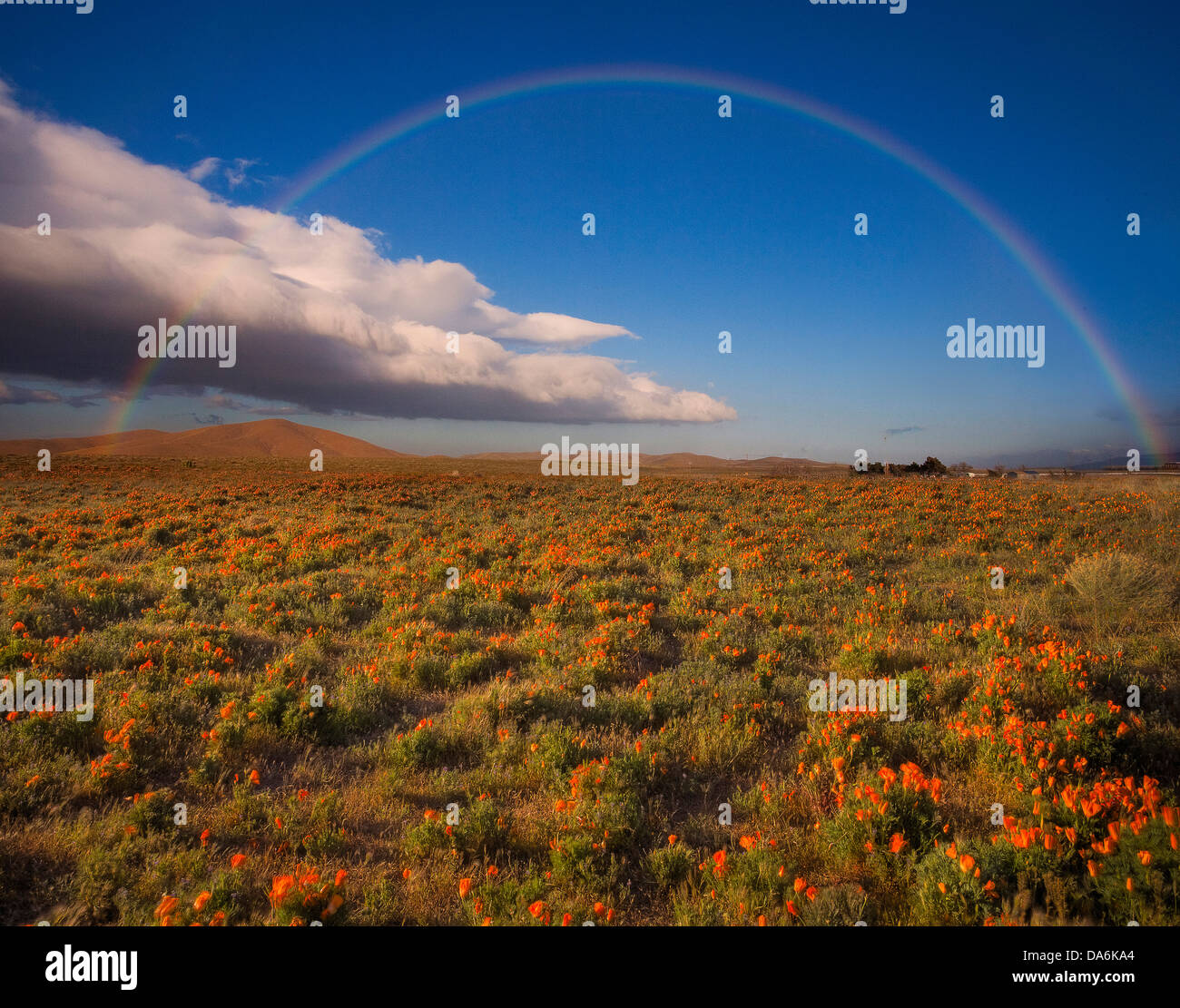 USA, United States, America, California, Lancaster, Antelope Valley ...