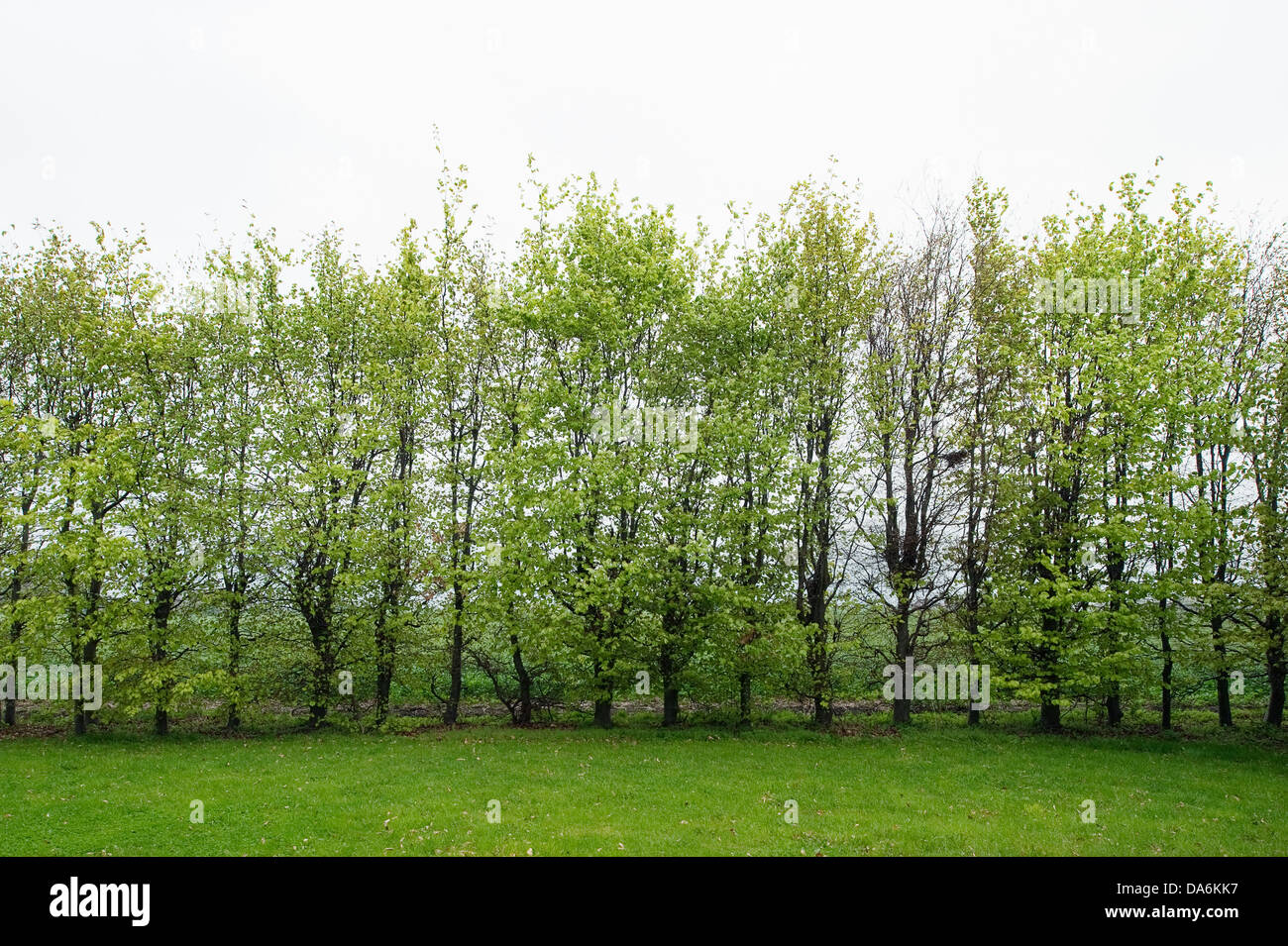 Skane landscape hi-res stock photography and images - Alamy