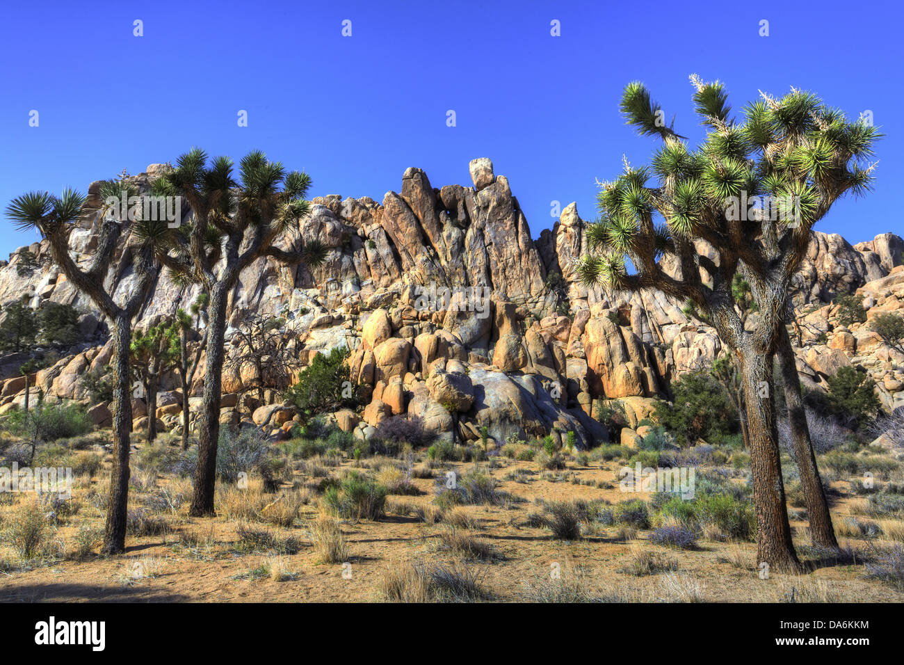 Indio High Resolution Stock Photography and Images - Alamy