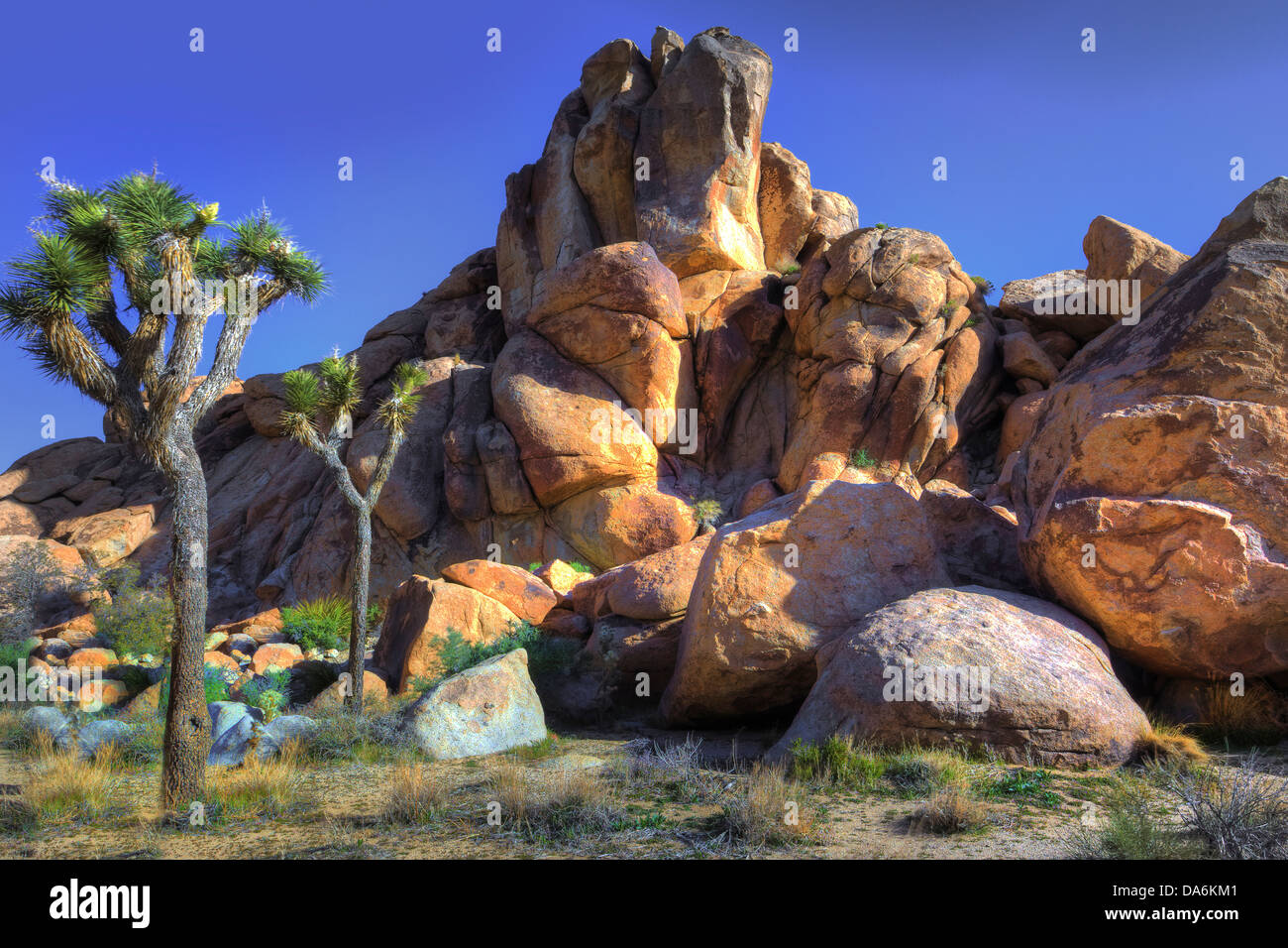 Indio hi-res stock photography and images - Alamy