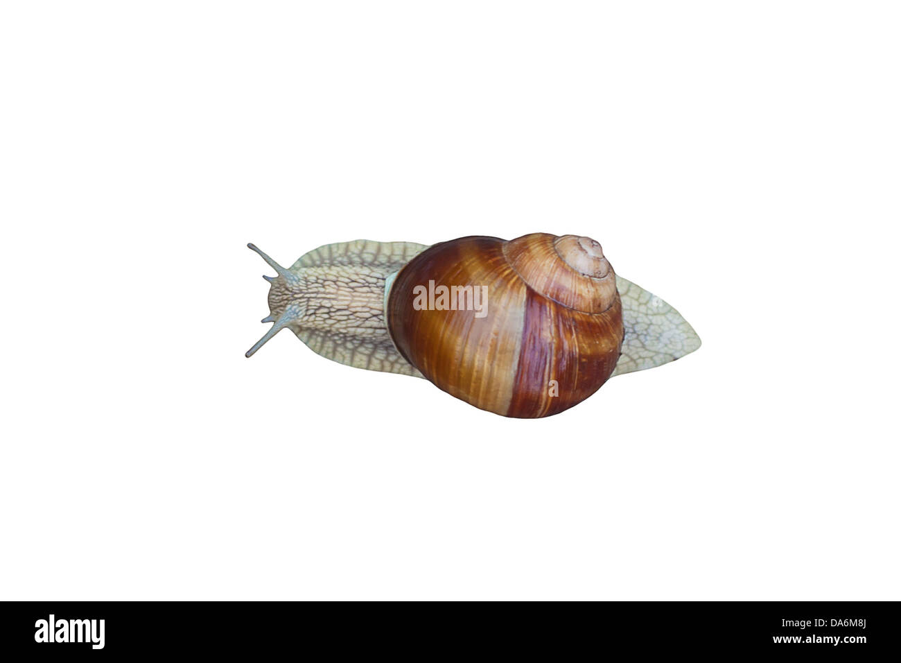 Orange helix background hi-res stock photography and images - Alamy