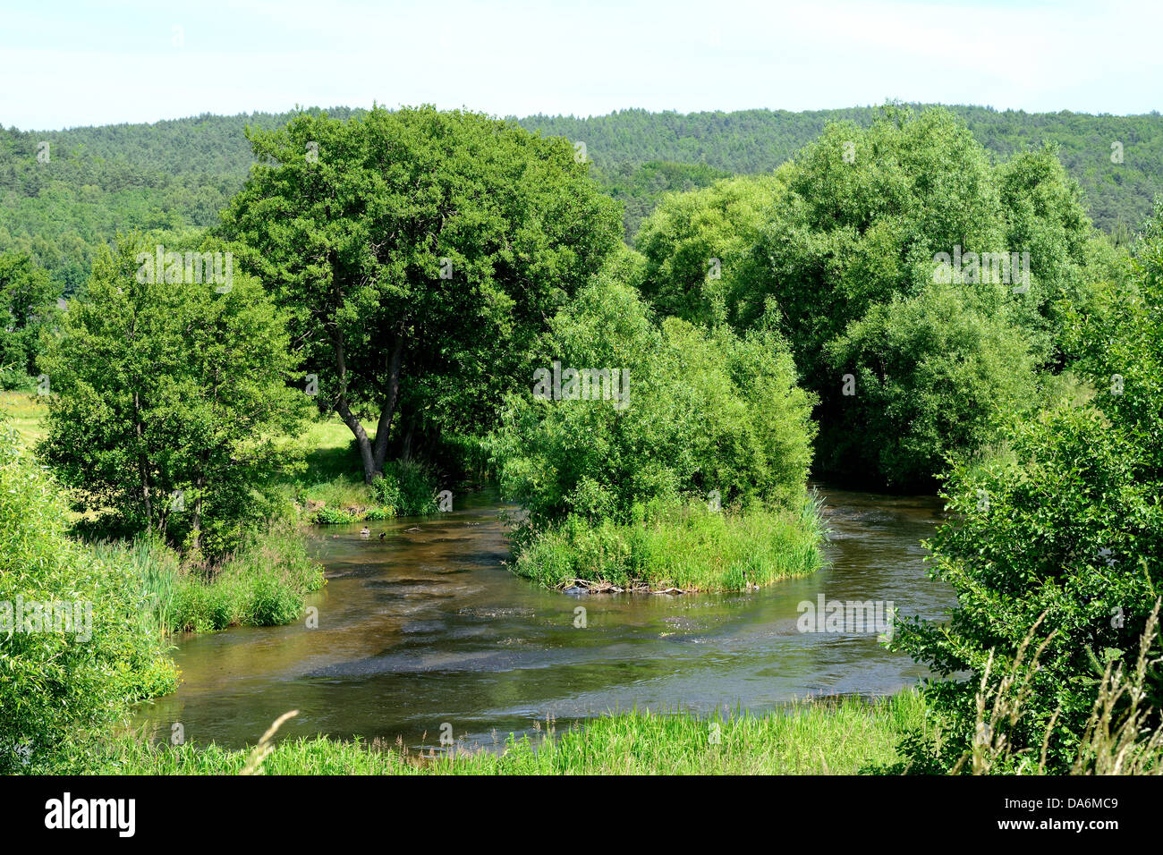 Island on the river Stock Photo - Alamy