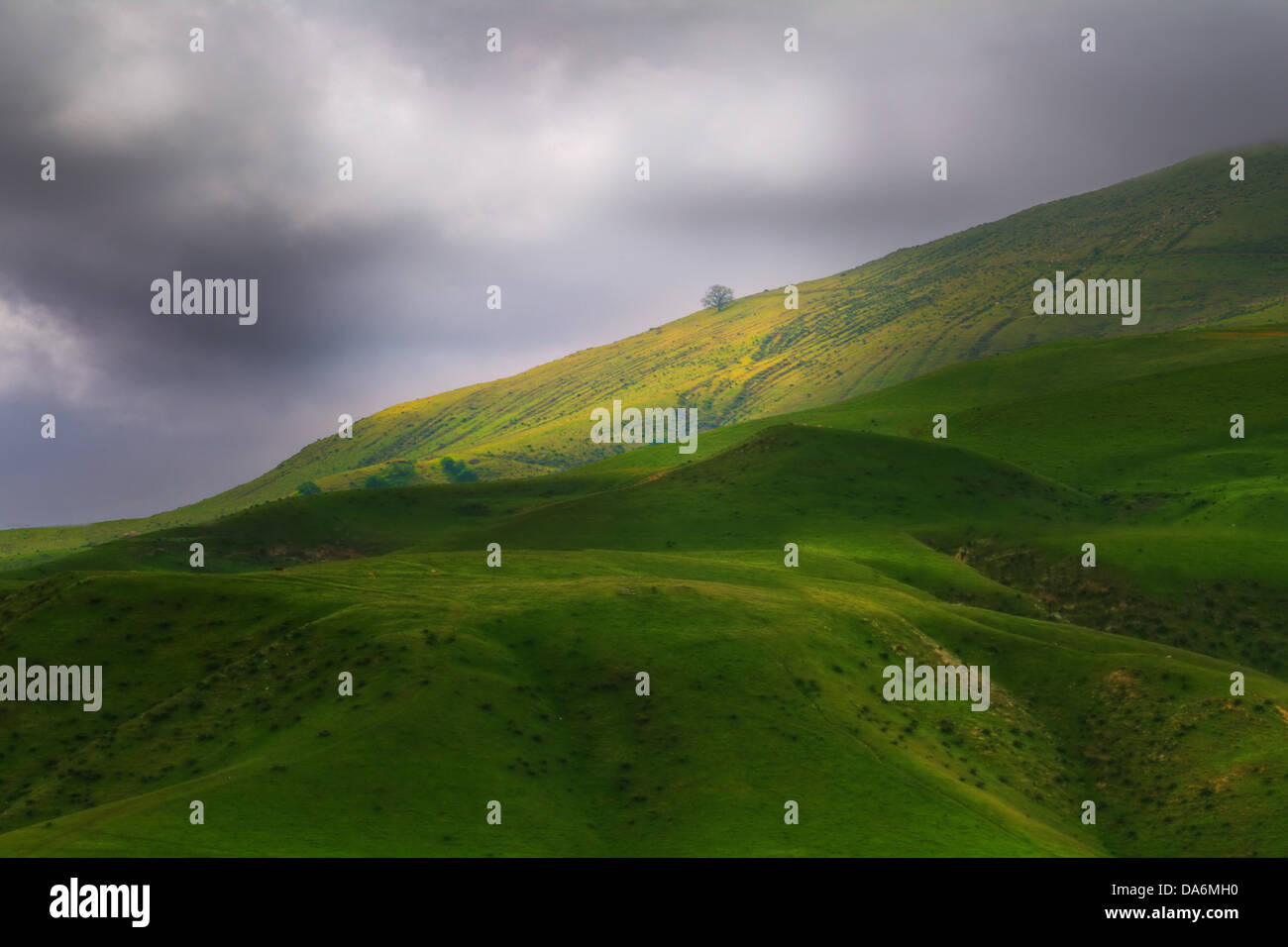 USA, United States, America, California, Tejon Pass, Central California ...