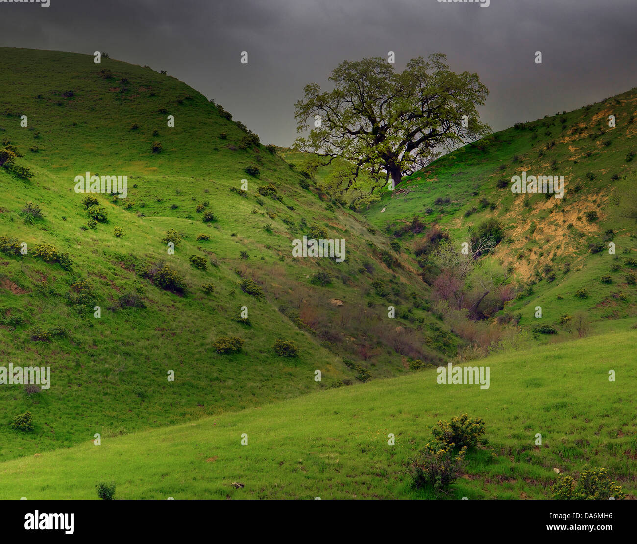 USA, United States, America, California, Tejon Pass, Central California ...