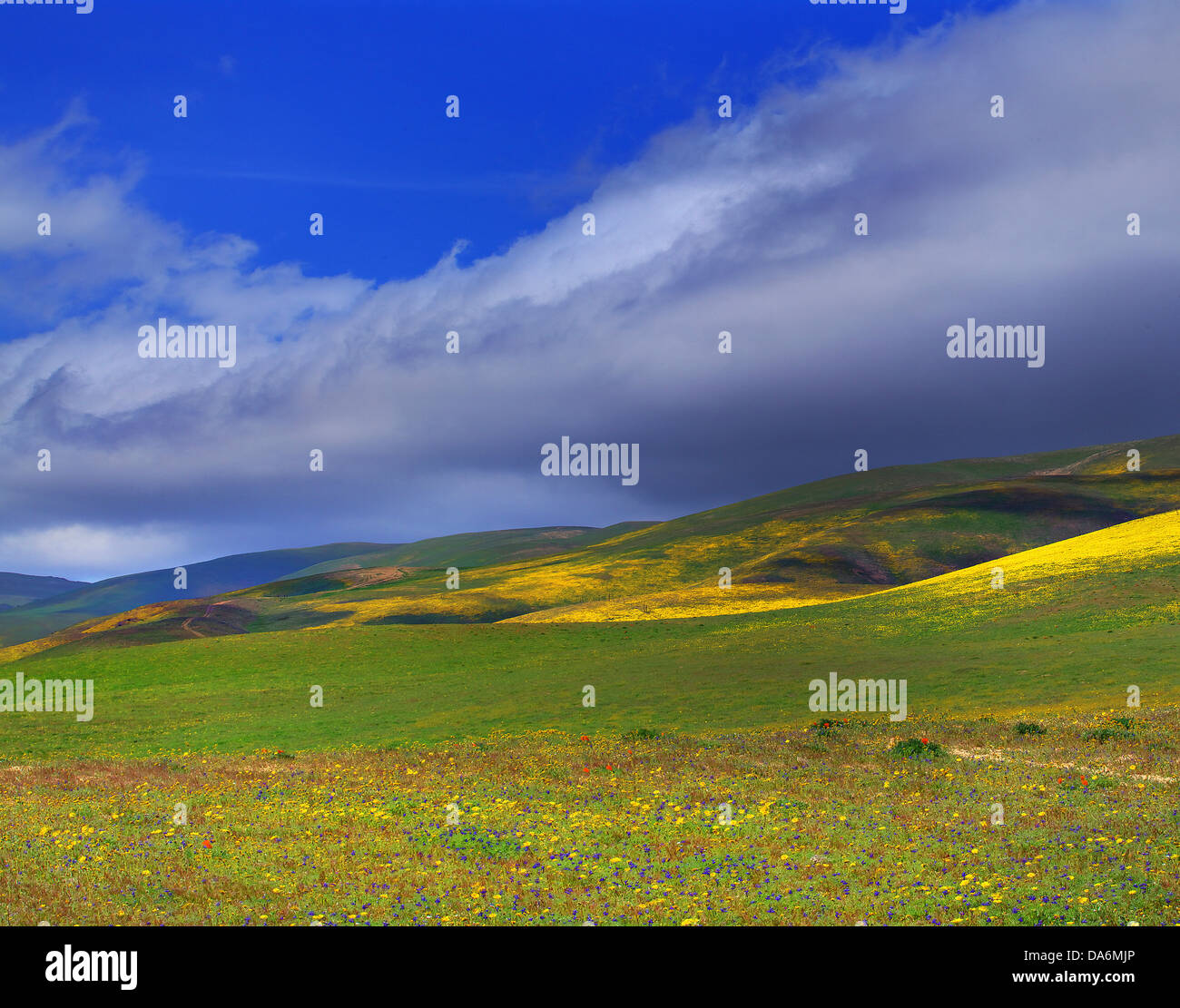 USA, United States, America, California, Tejon Pass, Central California ...