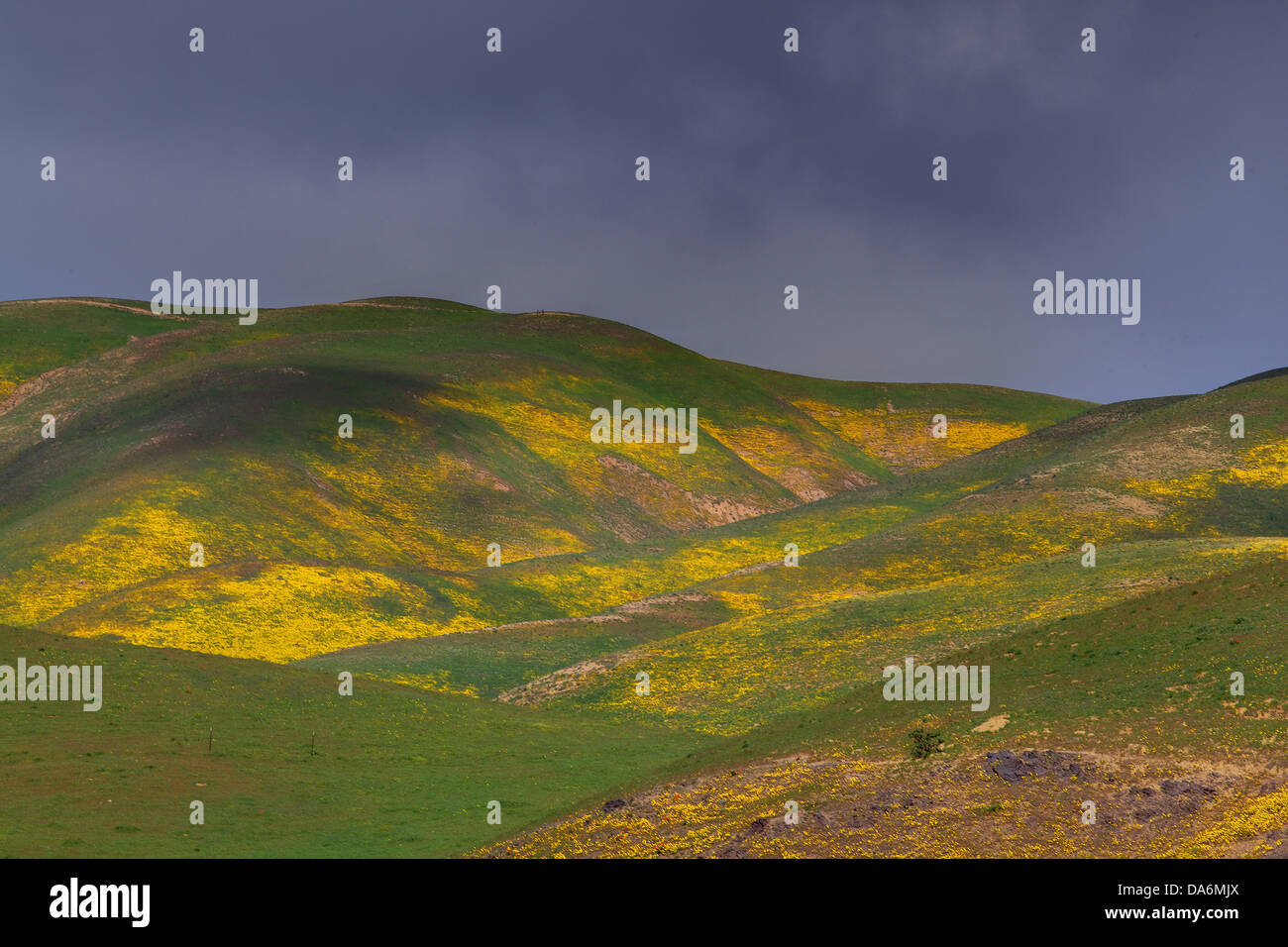 USA, United States, America, California, Tejon Pass, Central California ...