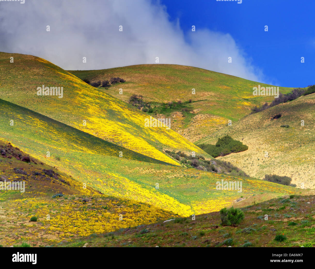 USA, United States, America, California, Tejon Pass, Central California ...