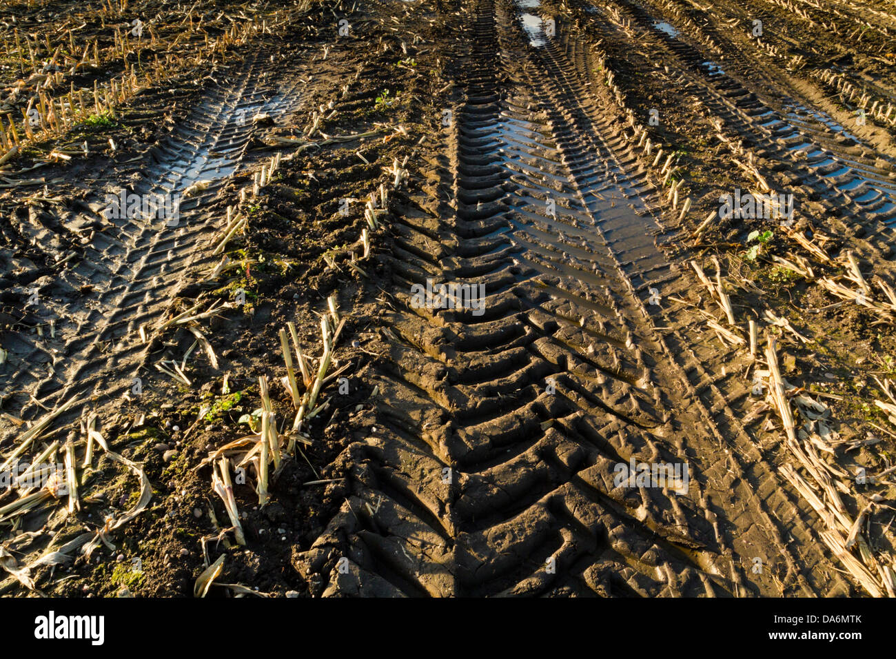 Muddy tracks field hi-res stock photography and images - Alamy