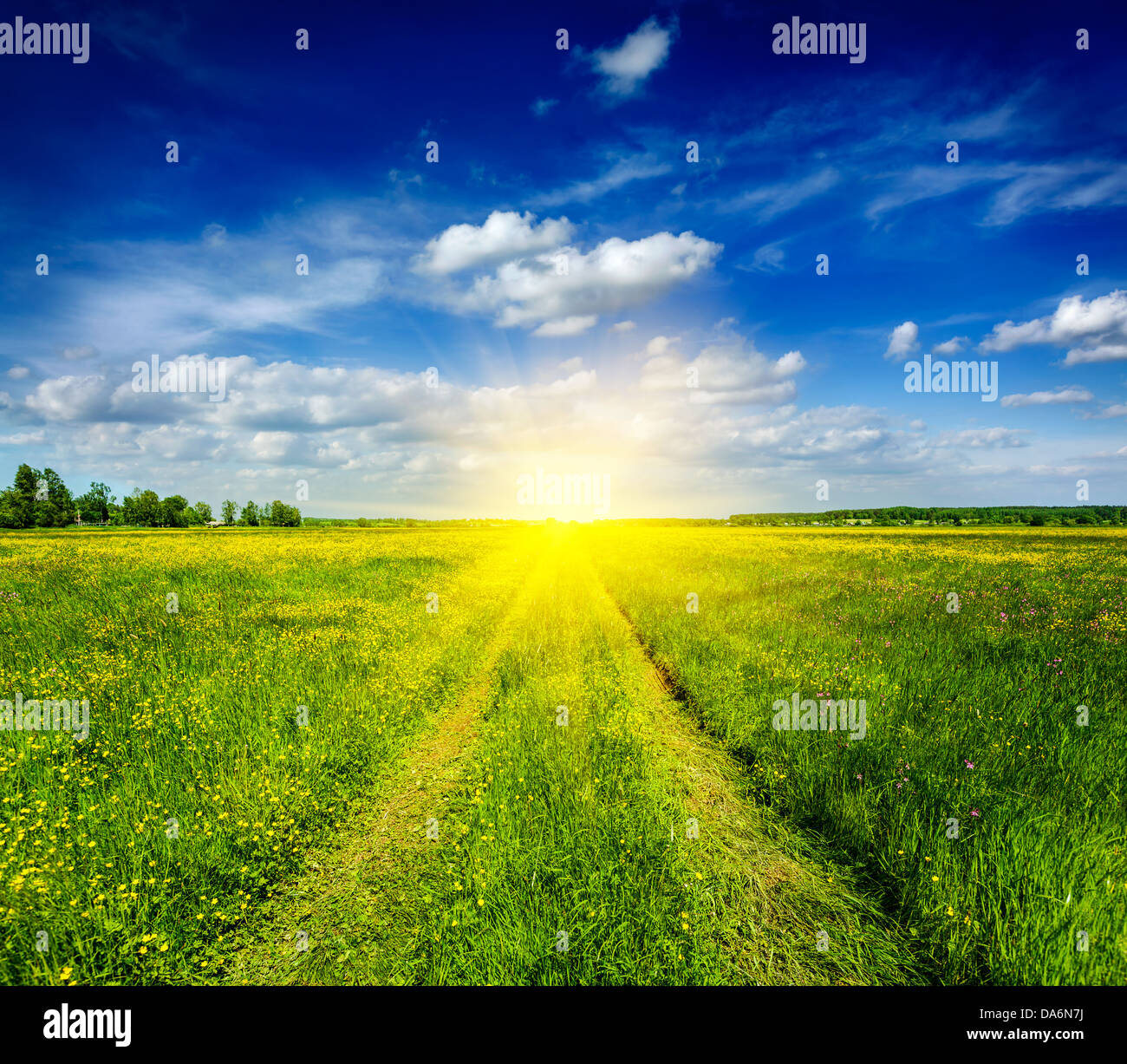 Spring summer background - rural road in green grass field meadow ...