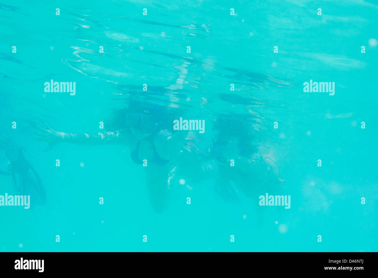 Two friends swimming underwater hi-res stock photography and images - Alamy