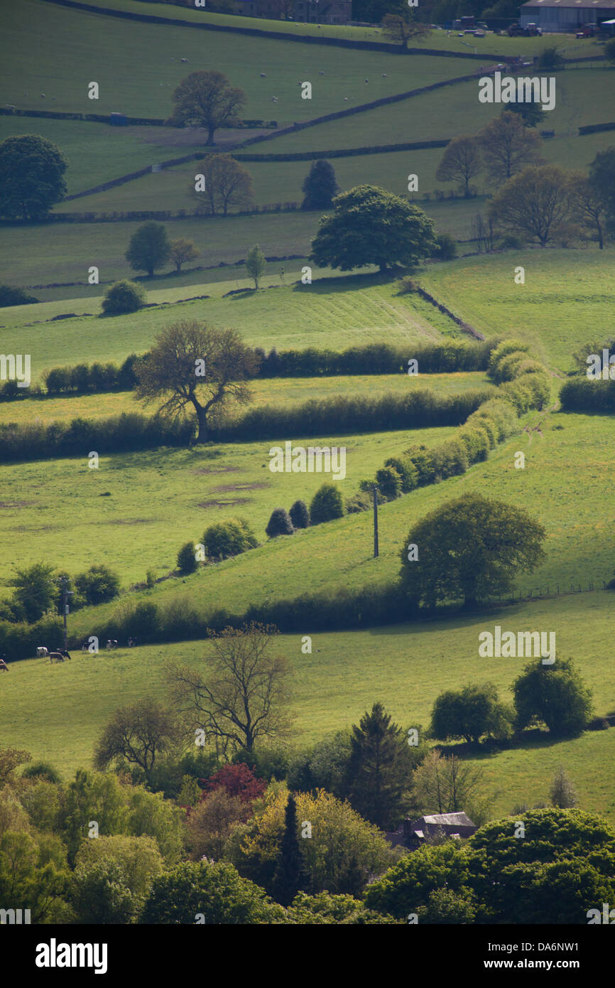 landscape matlock derbyshire peak district fields trees Stock Photo - Alamy