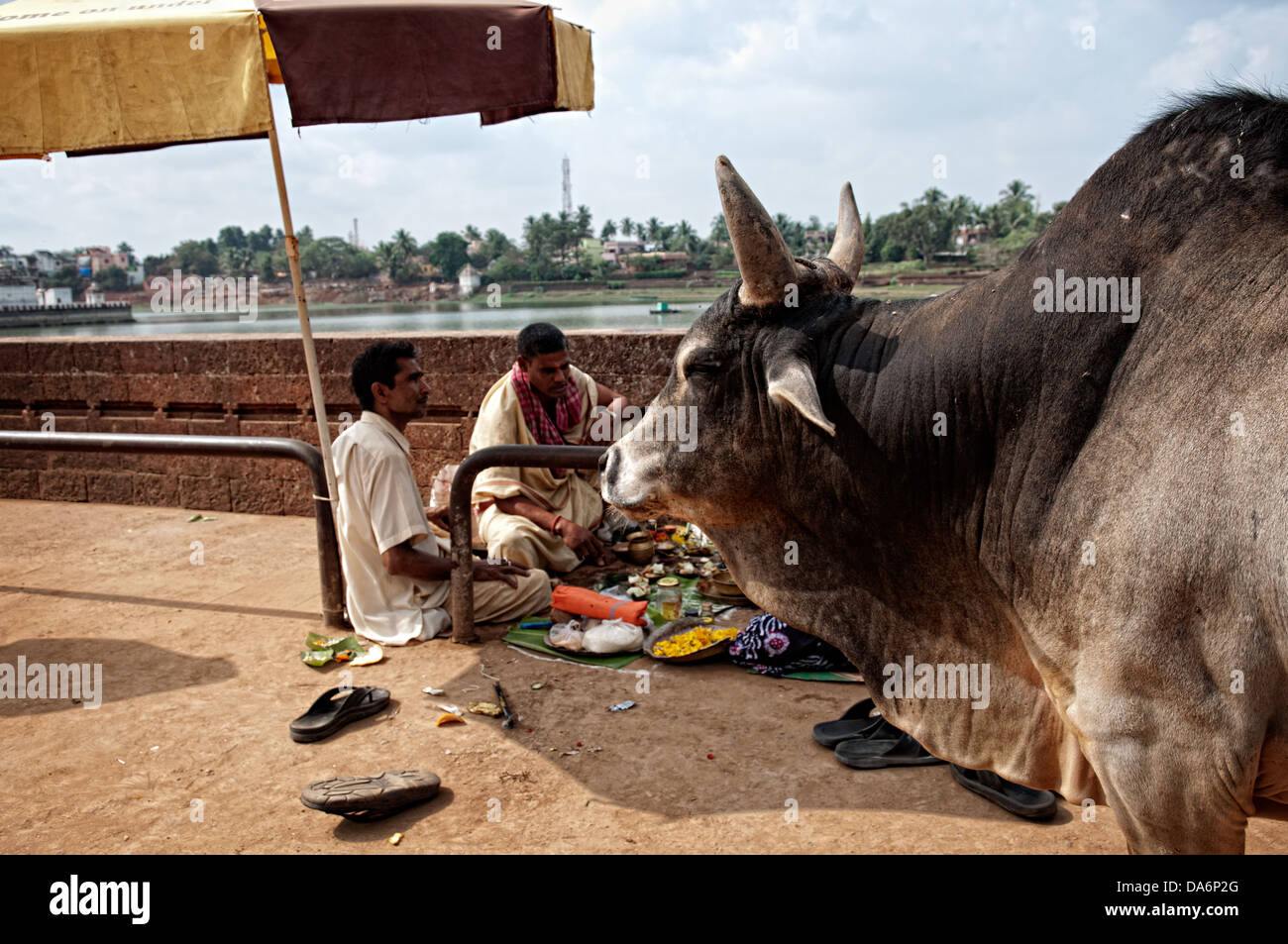 Brahmin performing ritual ceremony by Bindusagar lake. Bhubaneswar ...