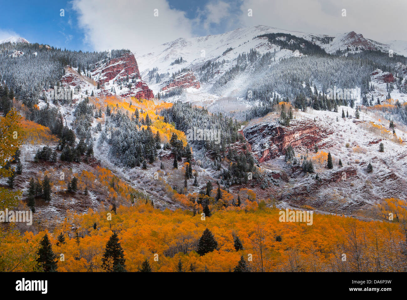 USA, United States, America, Colorado, fall, autumn, fall color ...