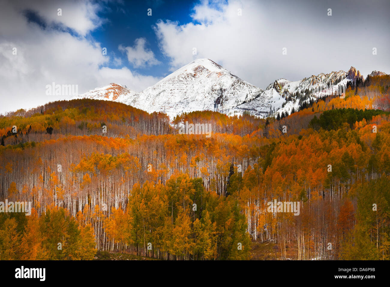 Aspens mountains hi-res stock photography and images - Alamy