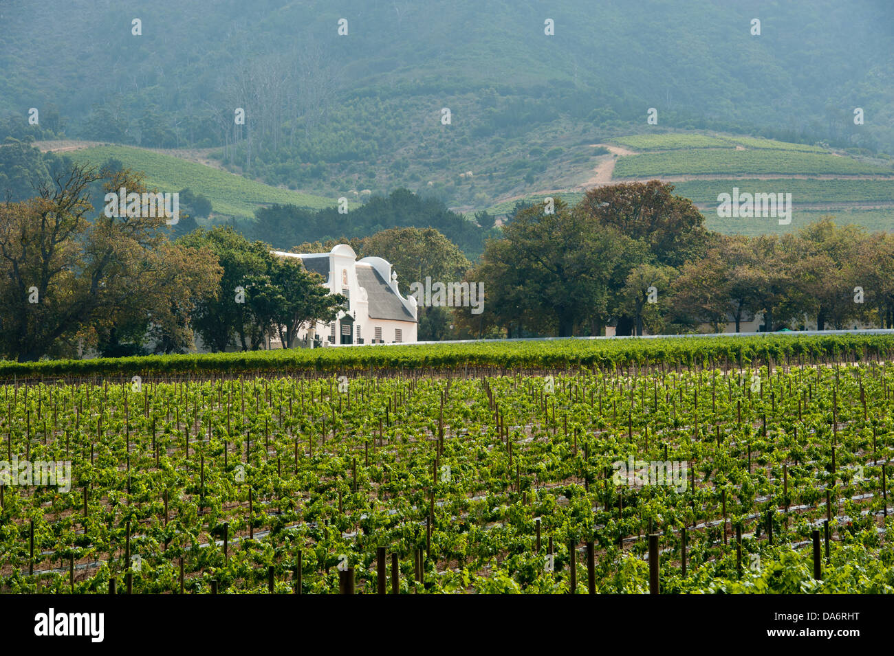 Groot Constantia, Constantia Valley, Cape Town, South Africa Stock ...