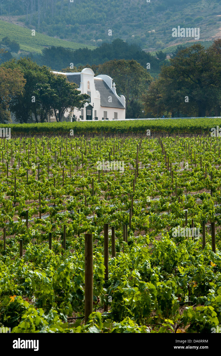 Groot constantia valley cape town hi-res stock photography and images ...