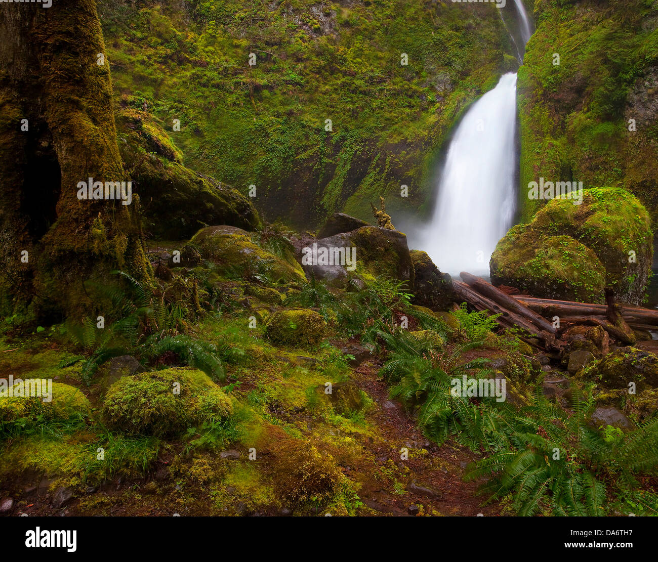 USA, United States, America, Oregon, Hood River, Columbia Gorge, Scenic ...
